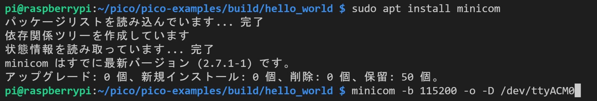 Raspberry Pi Pico "Hello World"実施 - neocode